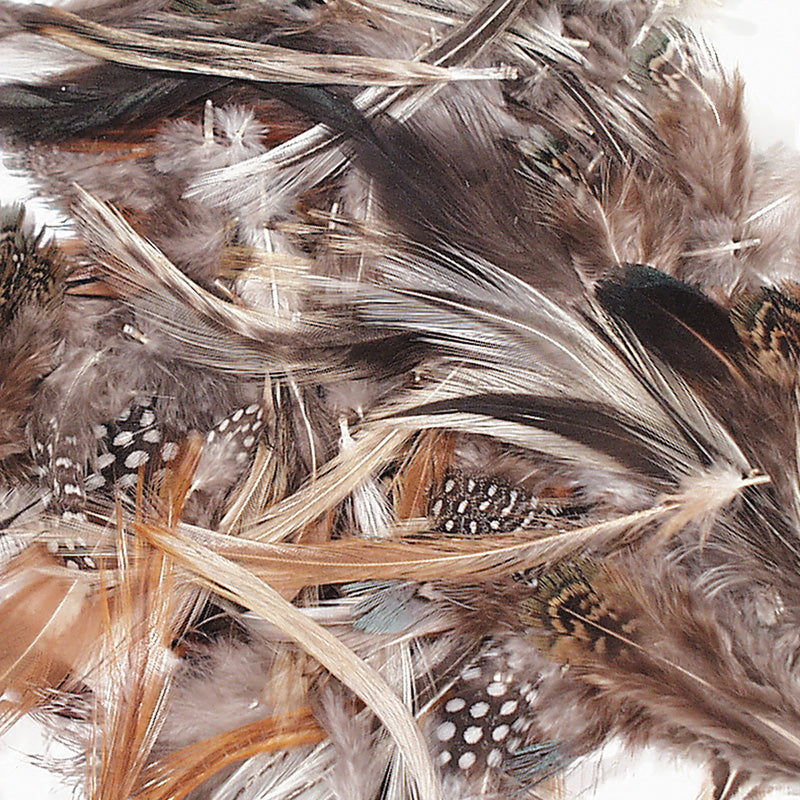 #56248 NATURAL FEATHERS ASSORTED COLORS - Factory Select